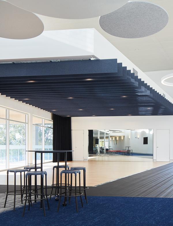 EchoPanel® 24mm | Woven Image